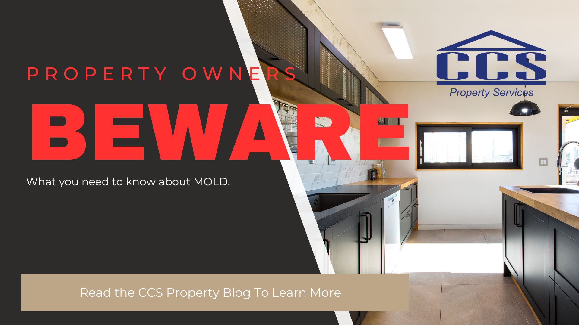 Property Owners Beware; What You Need To Know About Mold. - CCS ...