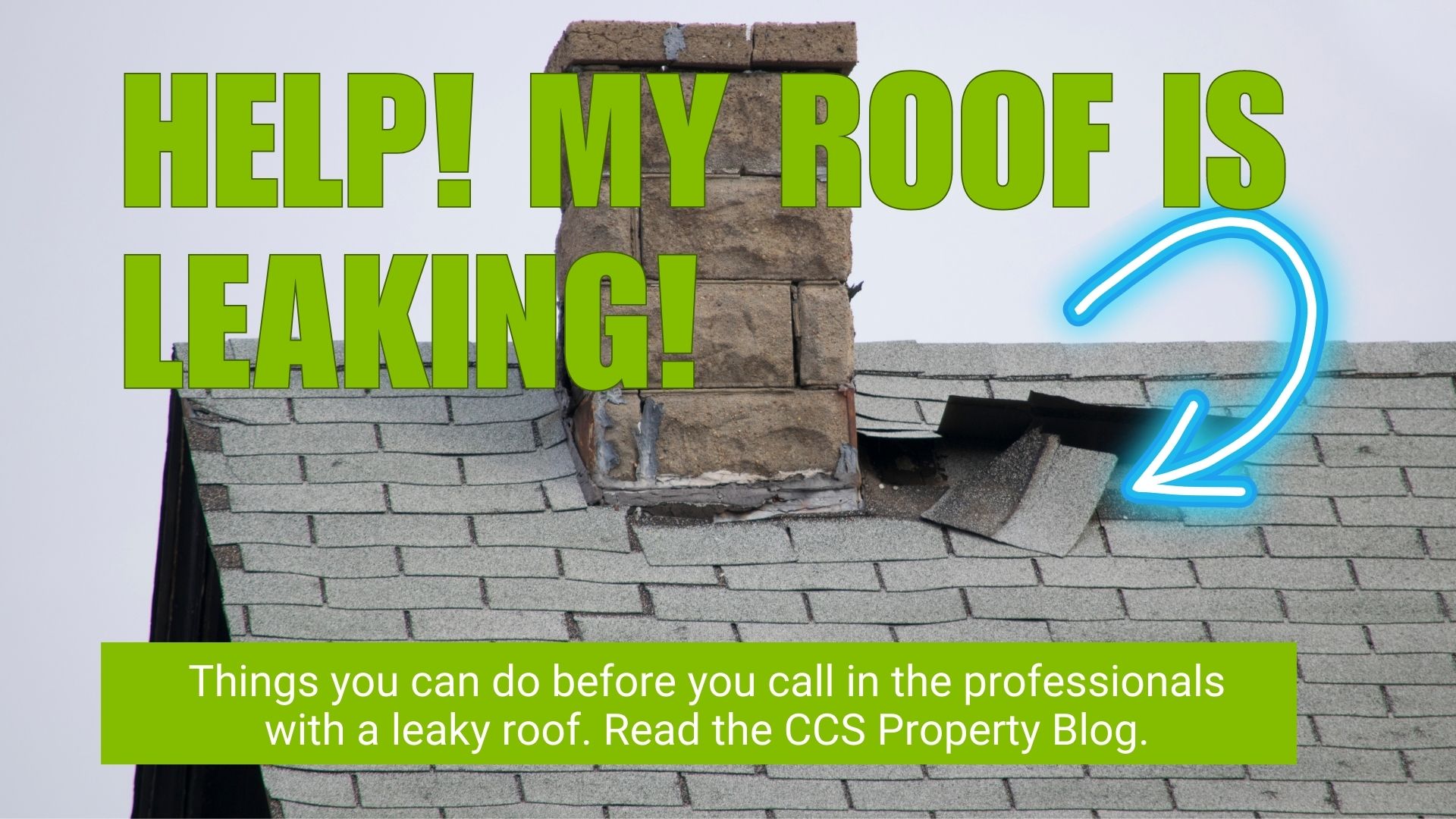 What to Do When Your Roof is Leaking: Tips Before Calling in CCS ...
